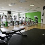 Green Micro Gym: Electricity Generating Fitness Equipment